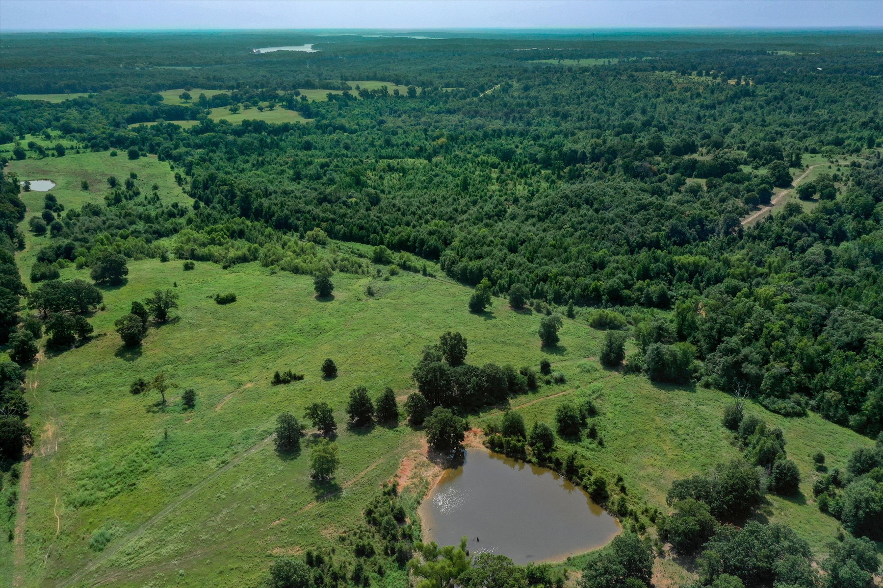 476 Acres Mt. Vernon, Texas - Franklin County Land - East Tx